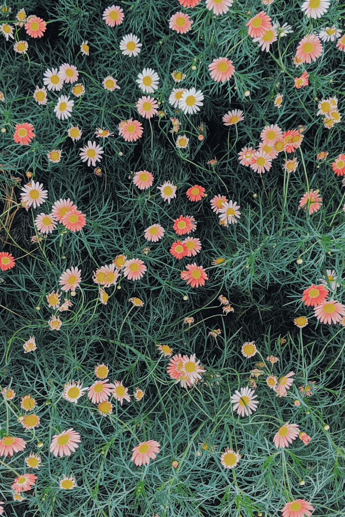 VSCO 2022 Wallpapers - Wallpaper Cave