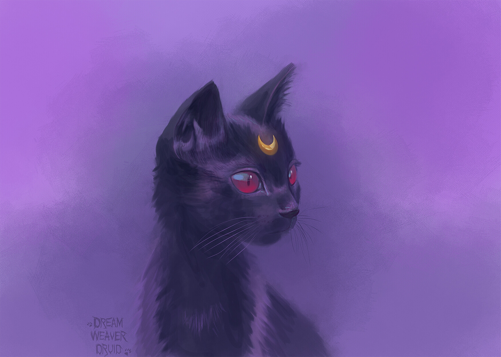 Luna The Cat Wallpapers - Wallpaper Cave