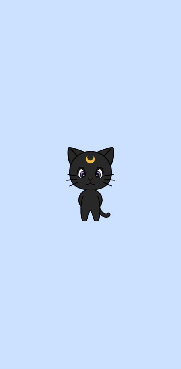 Luna The Cat Wallpapers - Wallpaper Cave