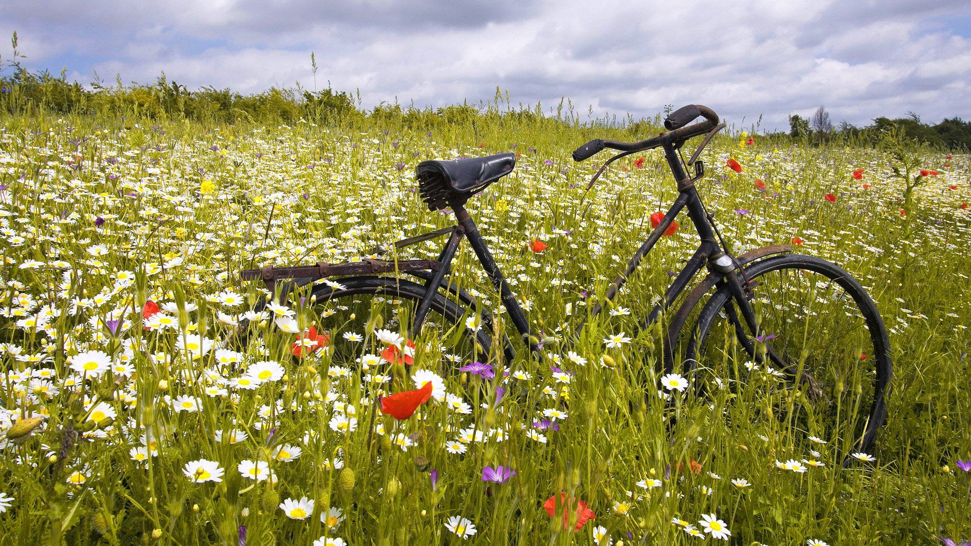 Spring Bike Wallpapers - Wallpaper Cave