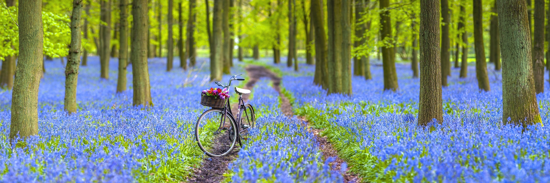 Spring Cycling Wallpapers - Wallpaper Cave