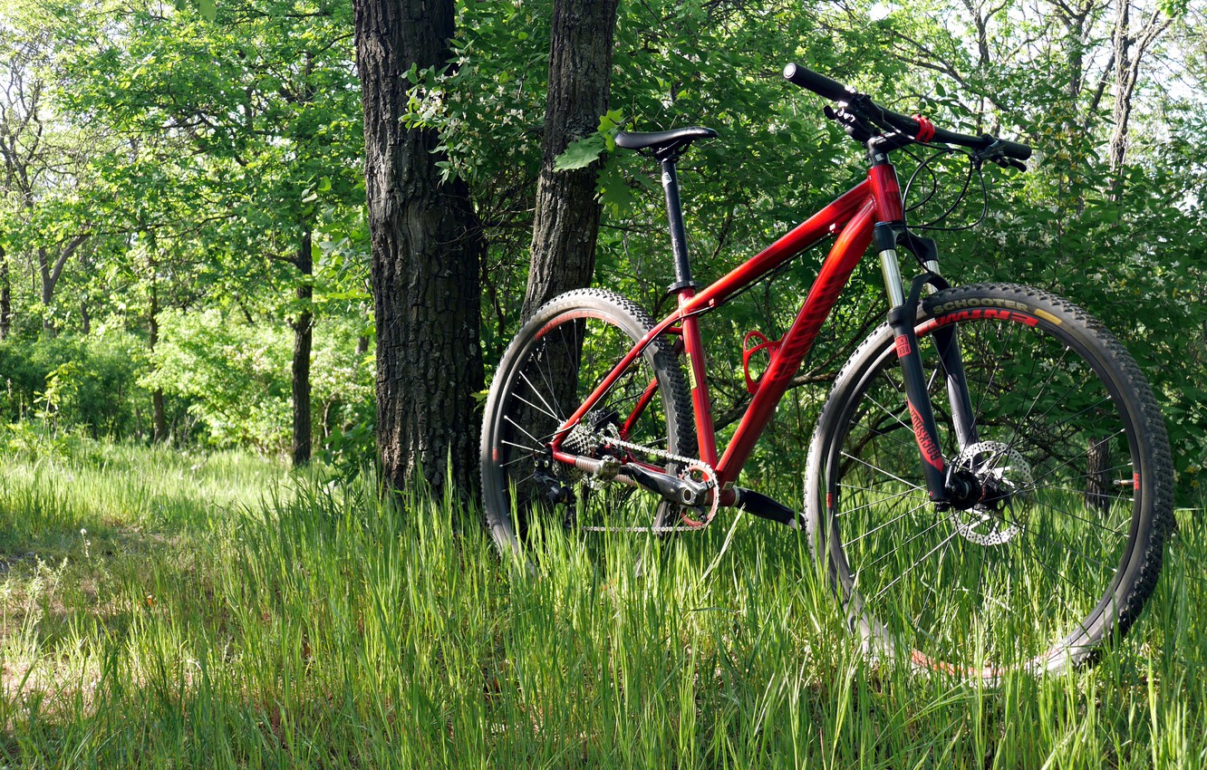 Spring Bike Wallpapers - Wallpaper Cave