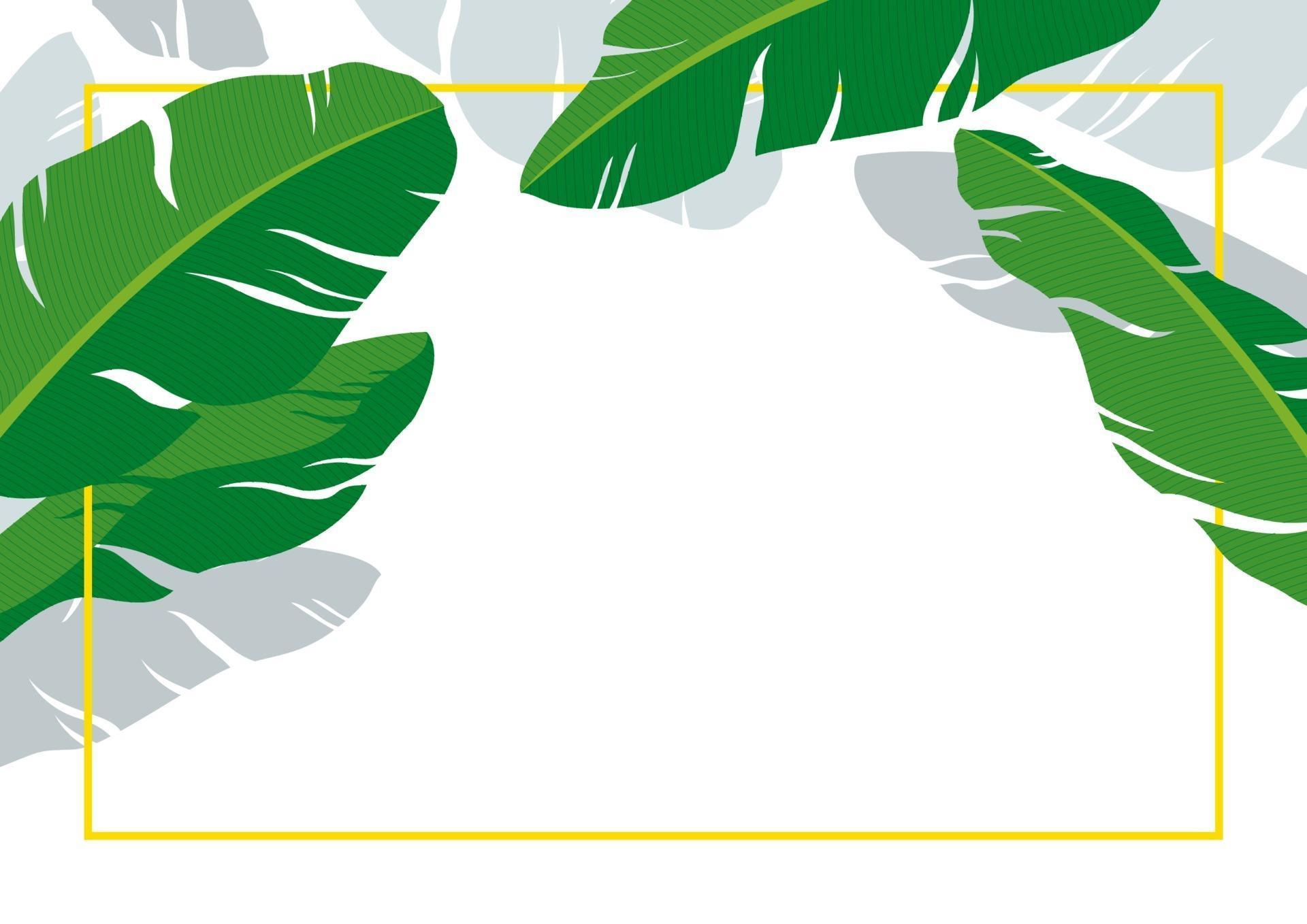 Summer Frame Wallpapers - Wallpaper Cave