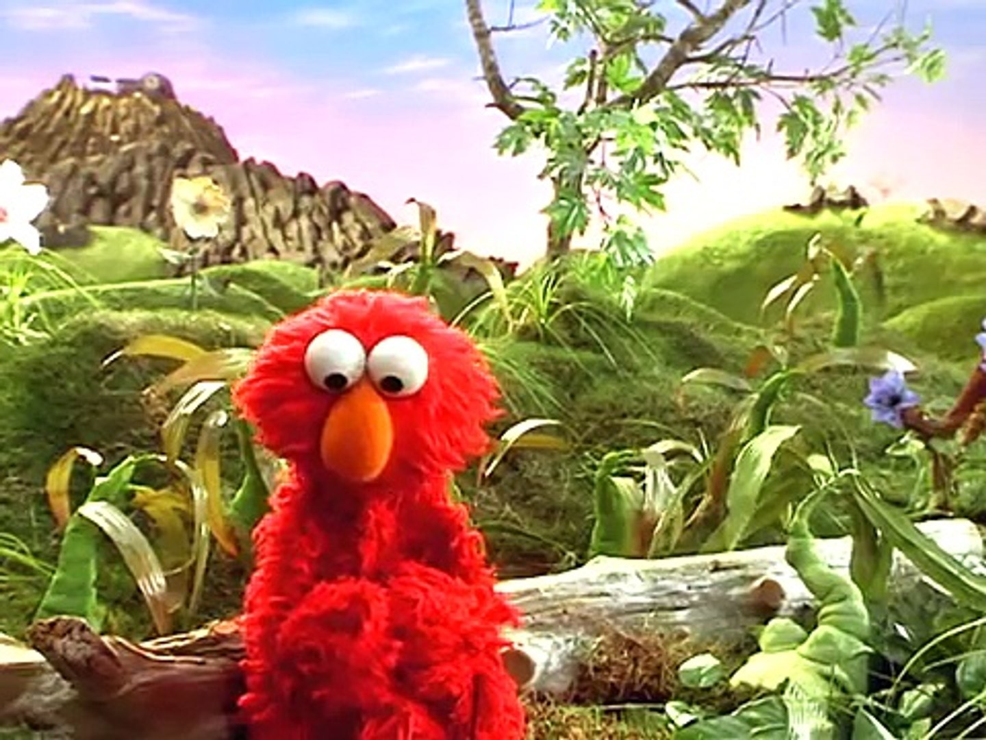 The Adventures Of Elmo In Grouchland Wallpapers - Wallpaper Cave