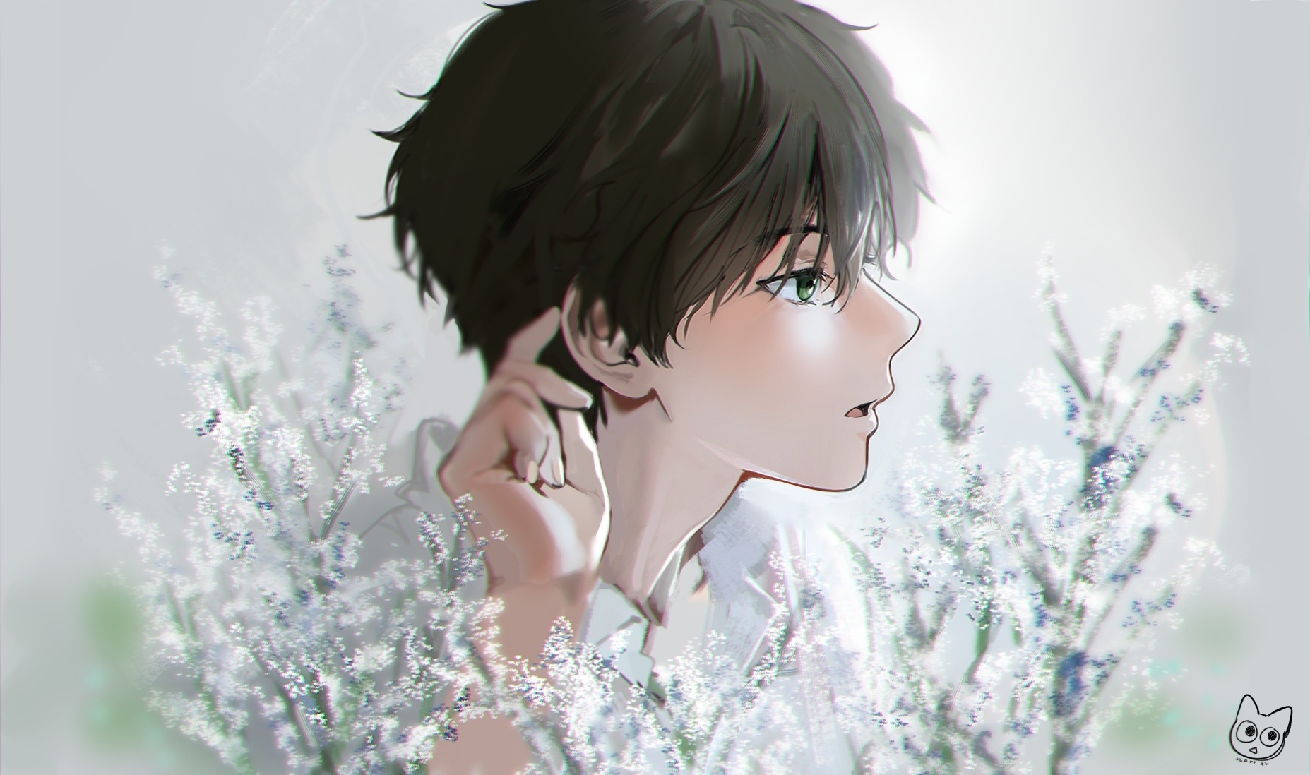 Green Profile Wallpapers - Wallpaper Cave