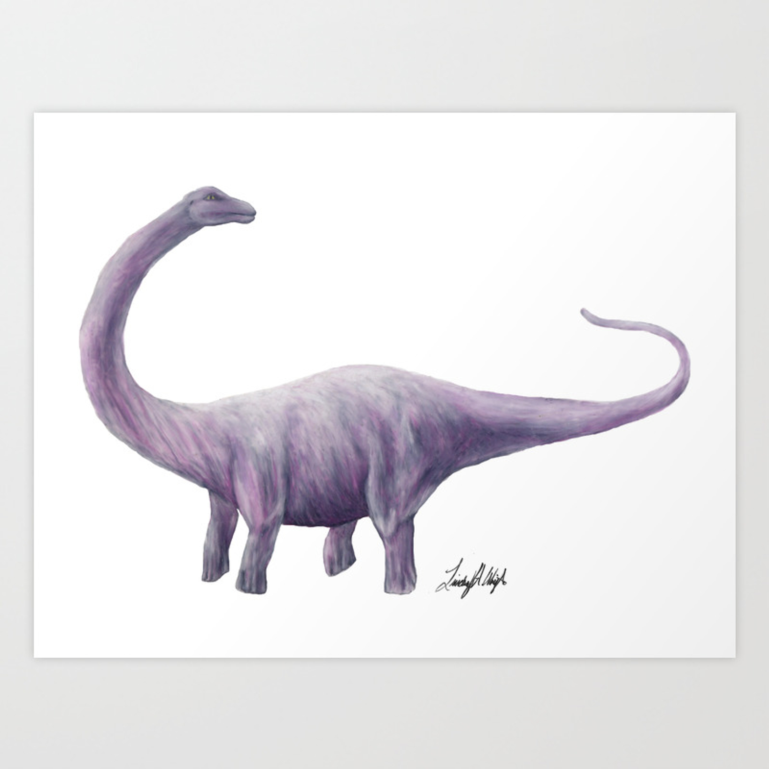 Diplodocus Wallpapers - Wallpaper Cave