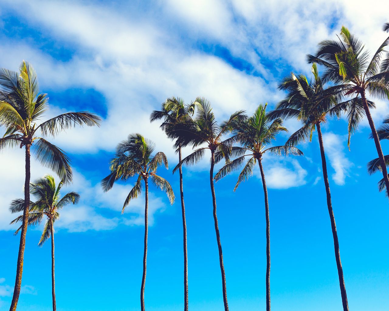 Summer 1280x1024 Wallpapers - Wallpaper Cave