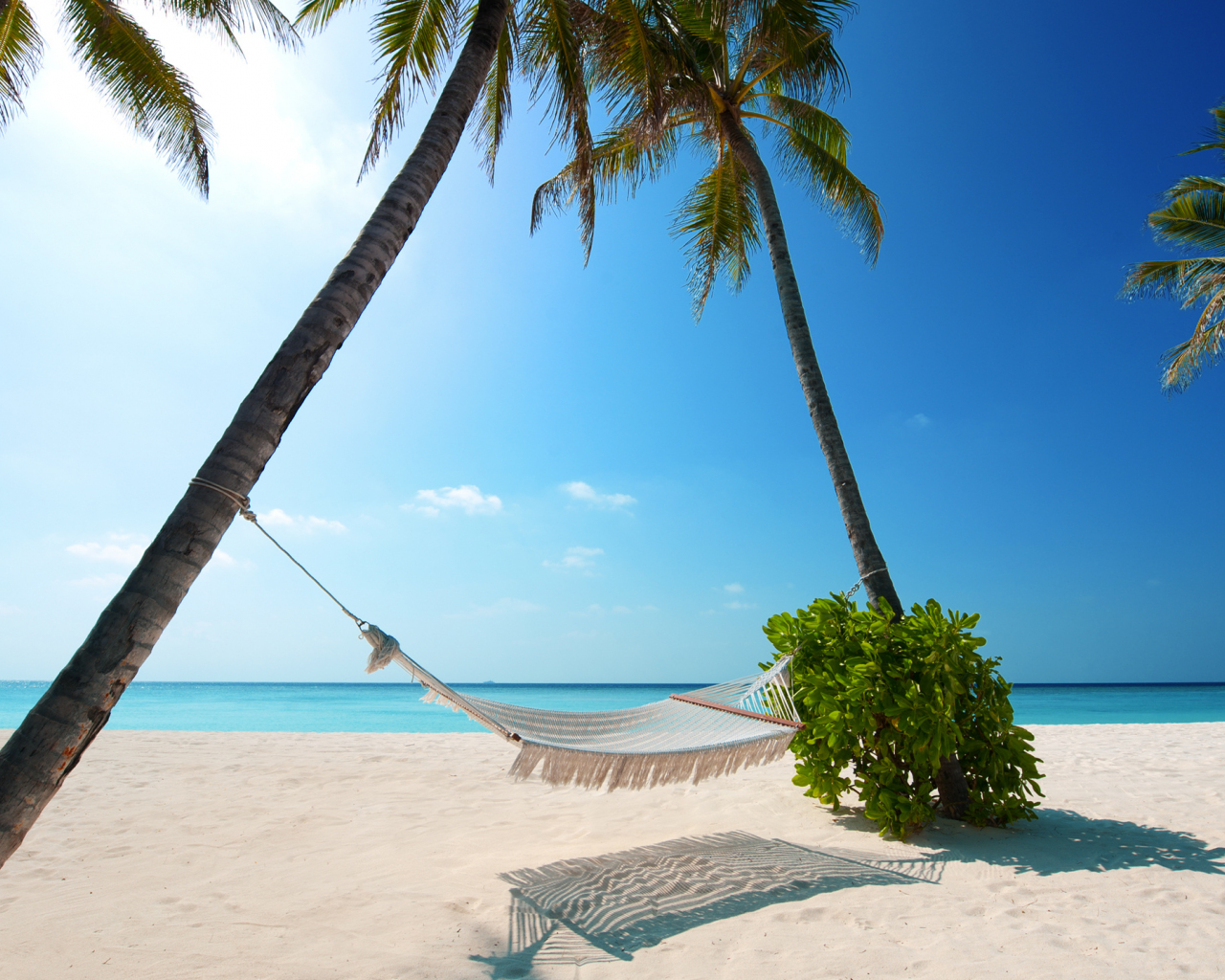 Summer 1280x1024 Wallpapers - Wallpaper Cave