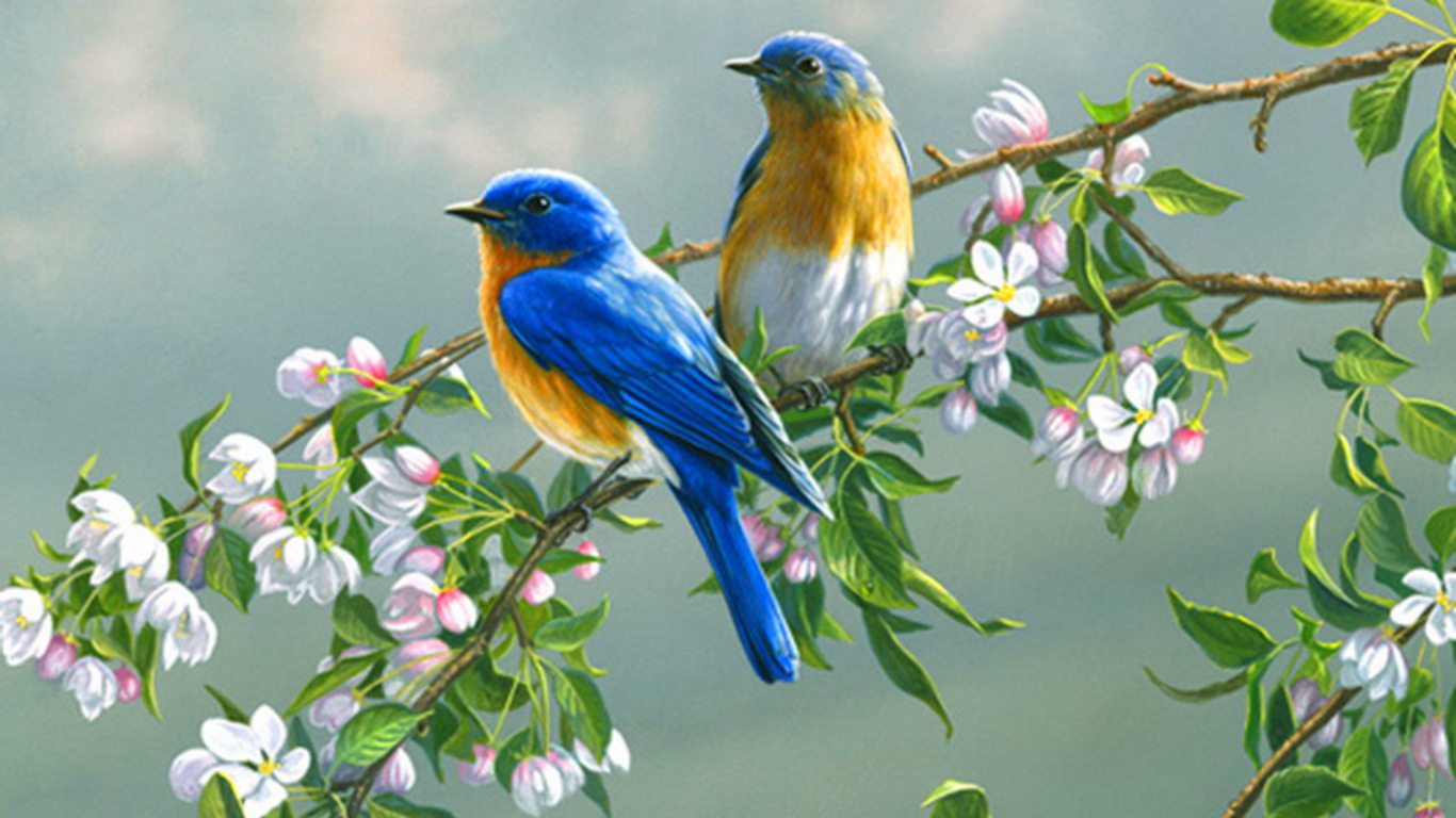 Small Birds Wallpapers - Wallpaper Cave