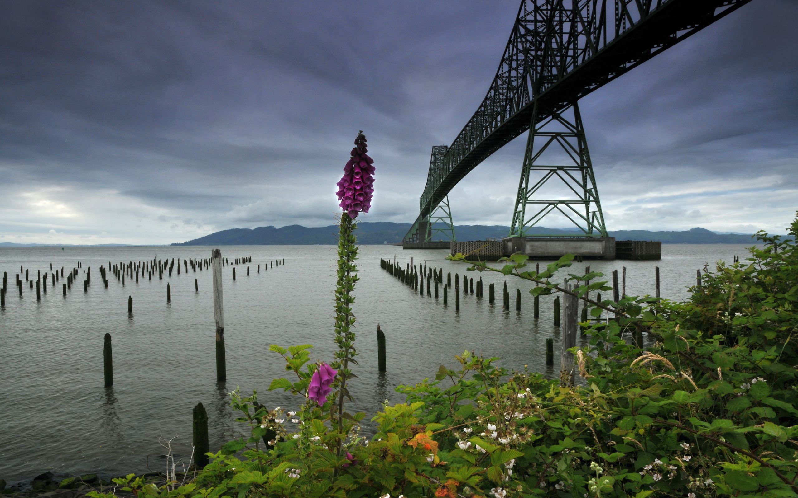 Astoria Wallpapers - Wallpaper Cave