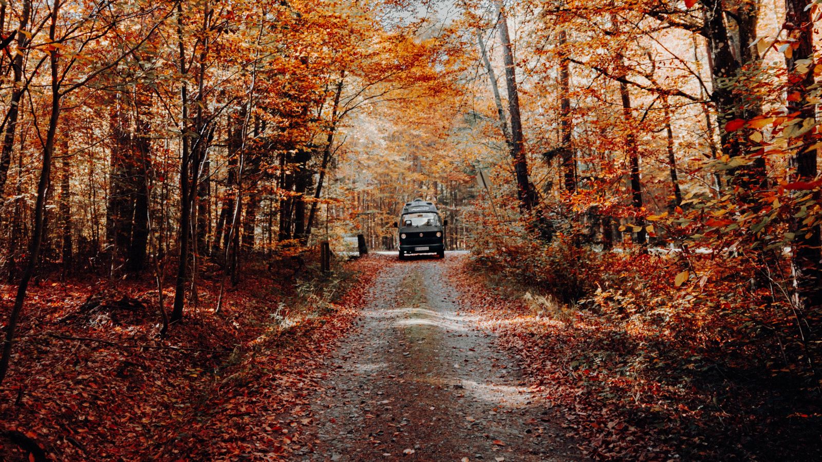 Forest Road With Car Wallpapers - Wallpaper Cave