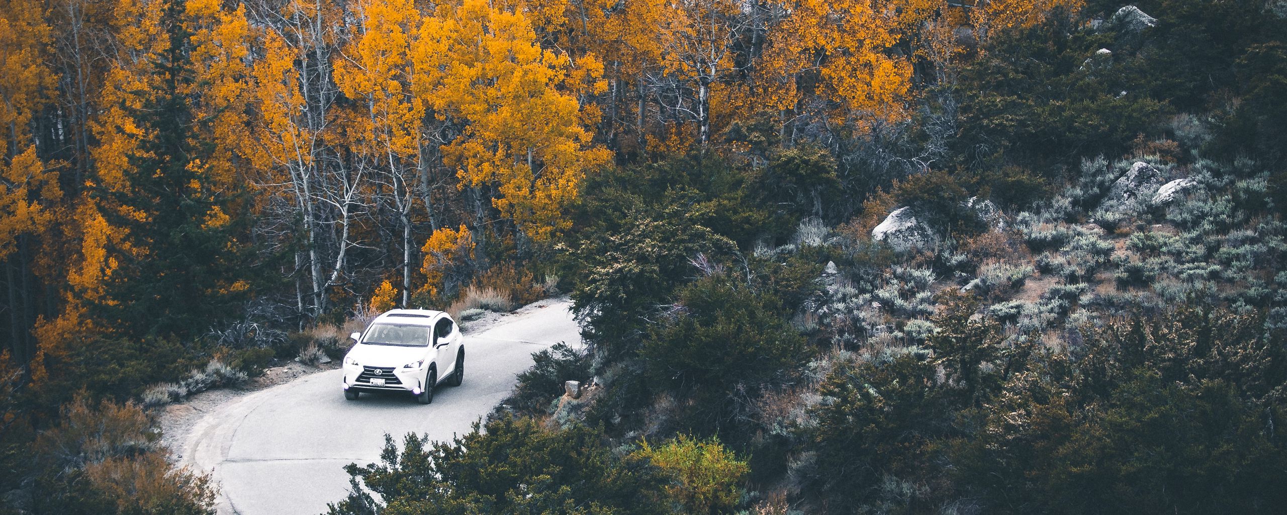 Forest Road With Car Wallpapers - Wallpaper Cave