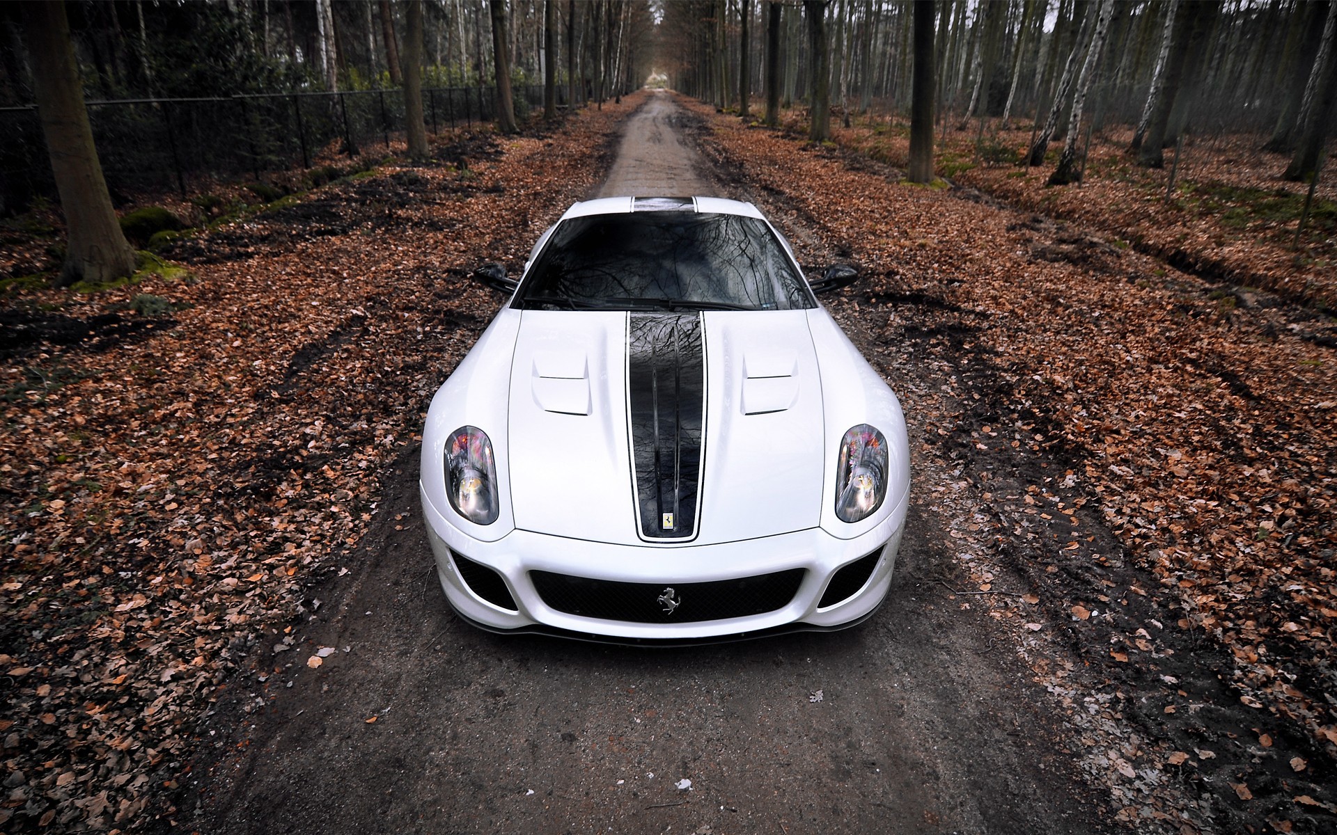 Forest Road With Car Wallpapers - Wallpaper Cave Forest Road With Car Wallpapers - Wallpaper Cave