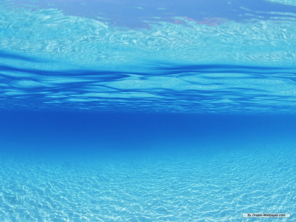 Water Life Wallpapers - Wallpaper Cave