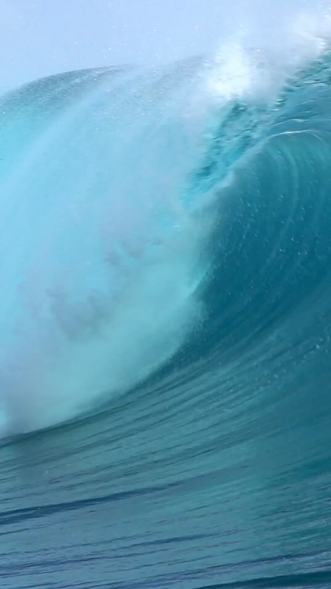 Water Life Wallpapers - Wallpaper Cave