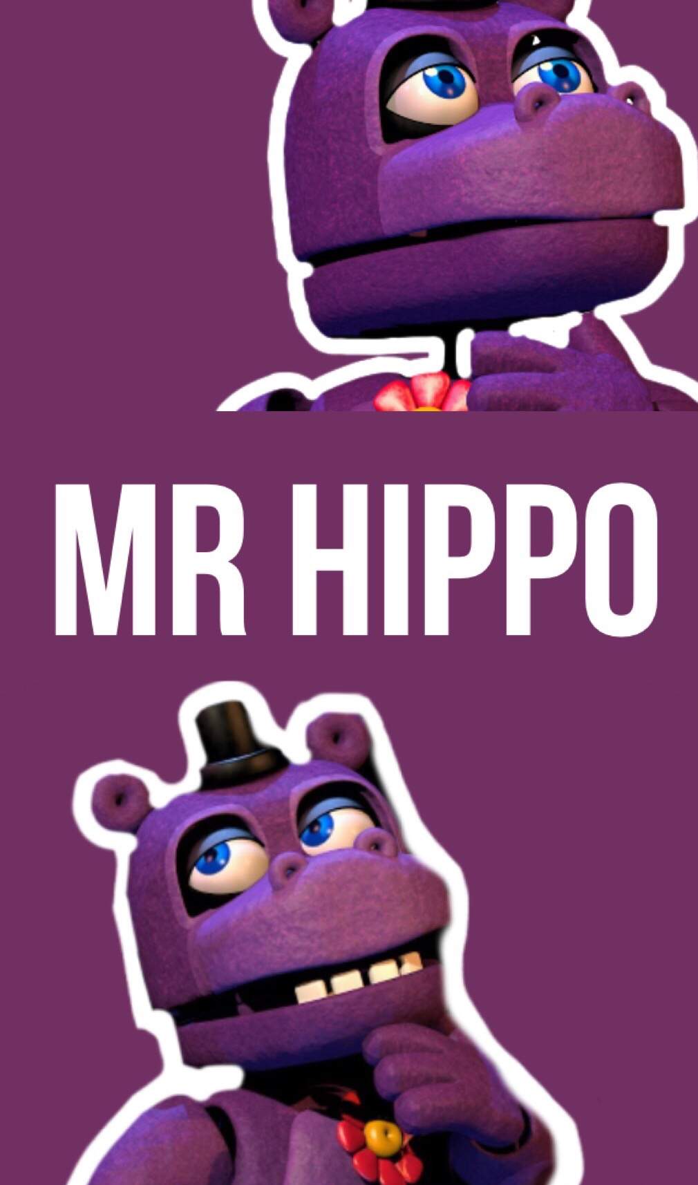 Mr Hippo Wallpapers - Wallpaper Cave