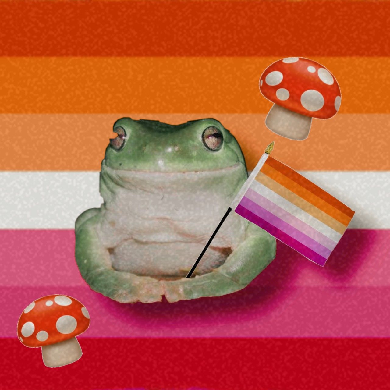 LGBTQ Frogs Wallpapers - Wallpaper Cave