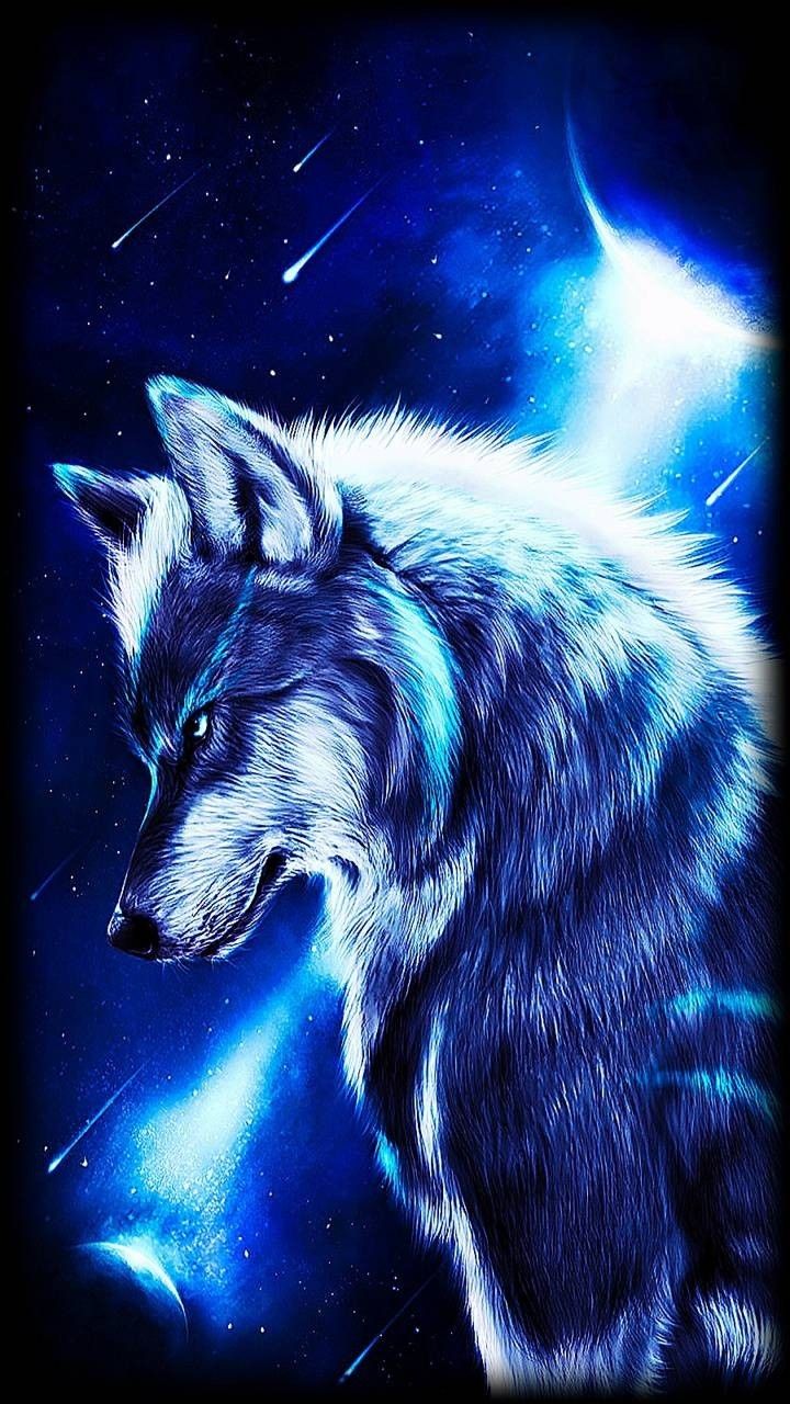 Color Wolf Wallpapers - Wallpaper Cave