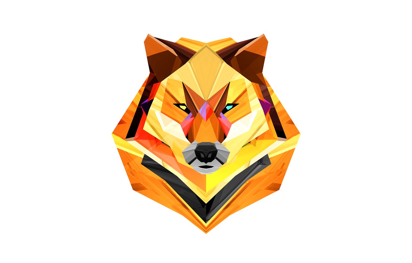 Color Wolf Wallpapers - Wallpaper Cave