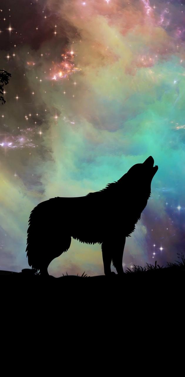 Color Wolf Wallpapers - Wallpaper Cave
