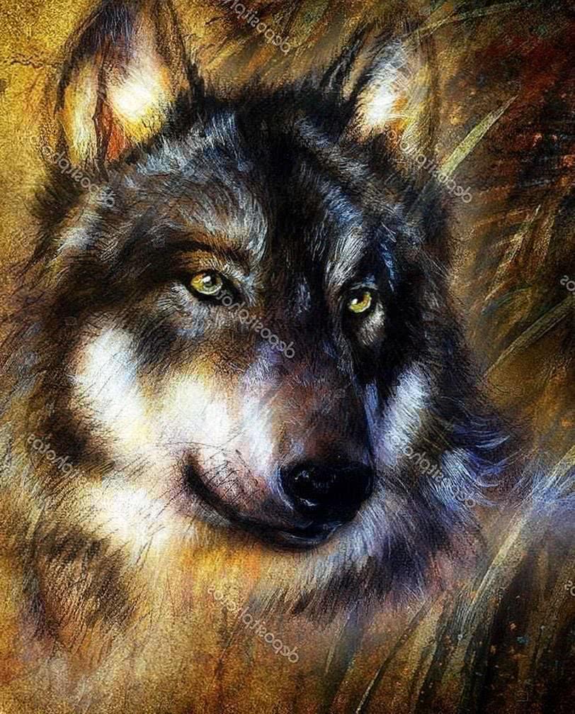 Color Wolf Wallpapers - Wallpaper Cave