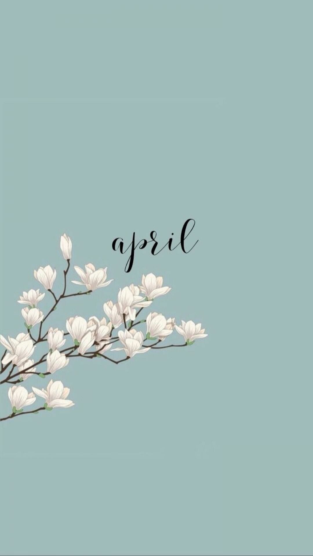 Spring Aesthetic iPhone Wallpapers - Wallpaper Cave