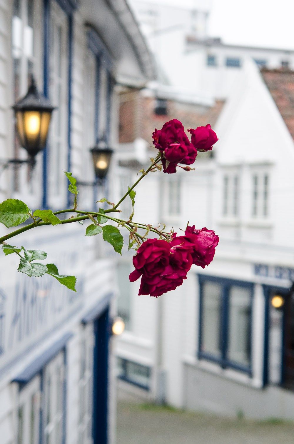 Spring City Scenes Wallpapers - Wallpaper Cave