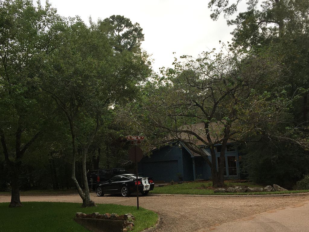 Spring Woodlands Wallpapers - Wallpaper Cave