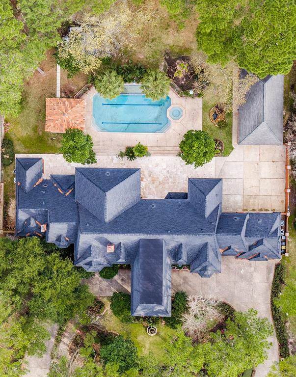 Spring Woodlands Wallpapers - Wallpaper Cave