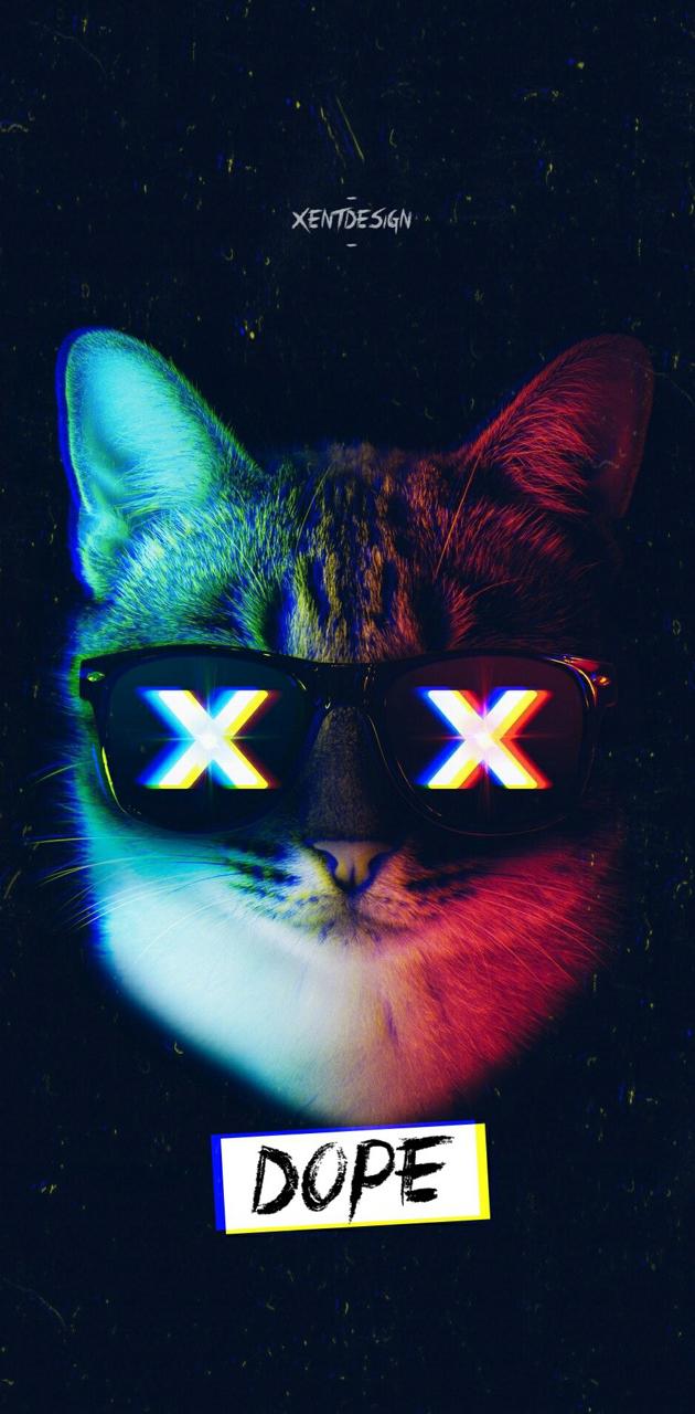 Gamer Cat Wallpapers - Wallpaper Cave