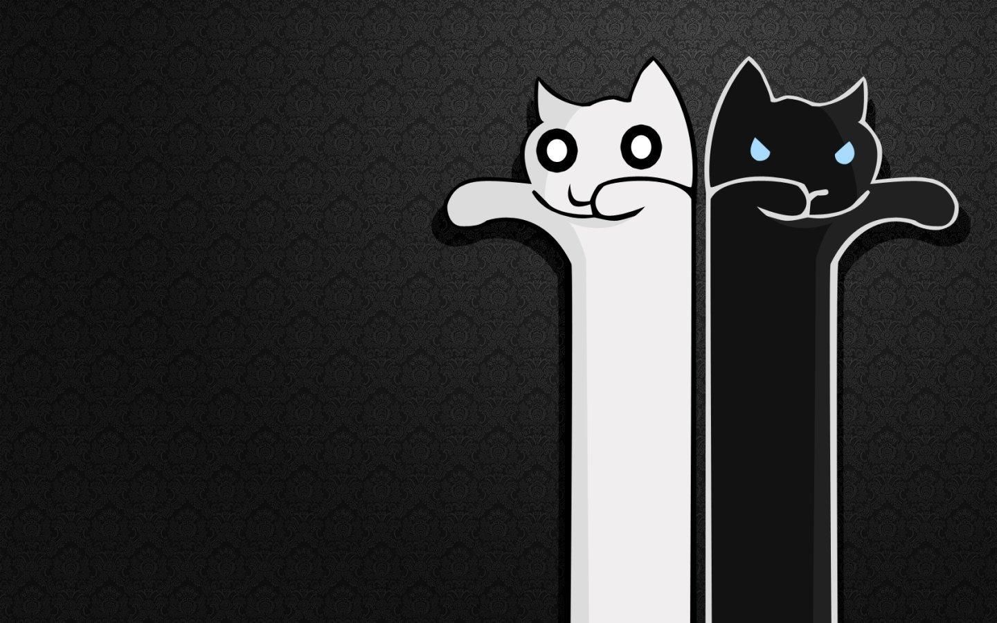 Gamer Cat Wallpapers - Wallpaper Cave