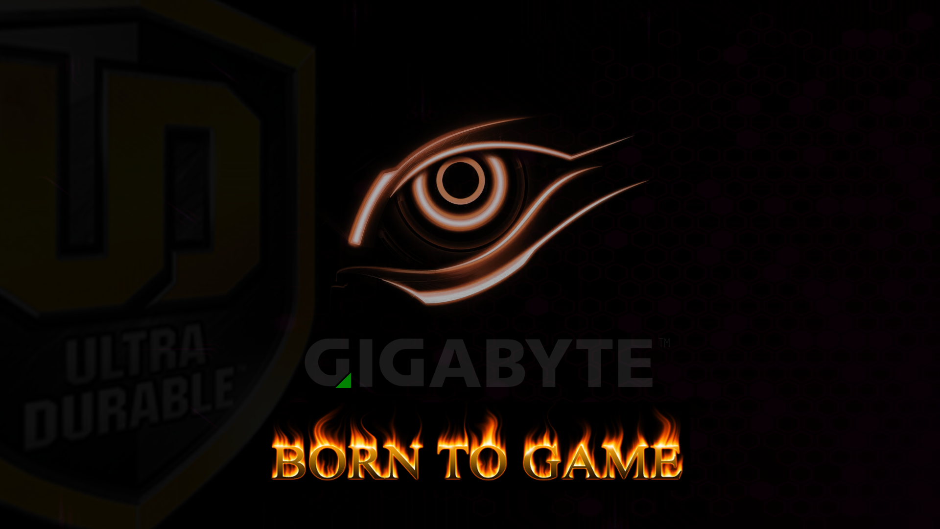 Born To Be A Gamer Wallpapers - Wallpaper Cave