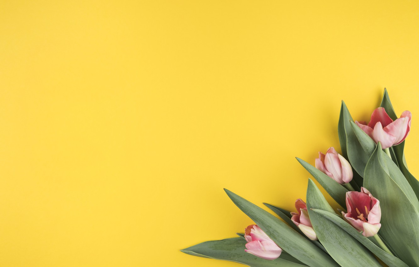 Pink And Yellow Spring Wallpapers - Wallpaper Cave
