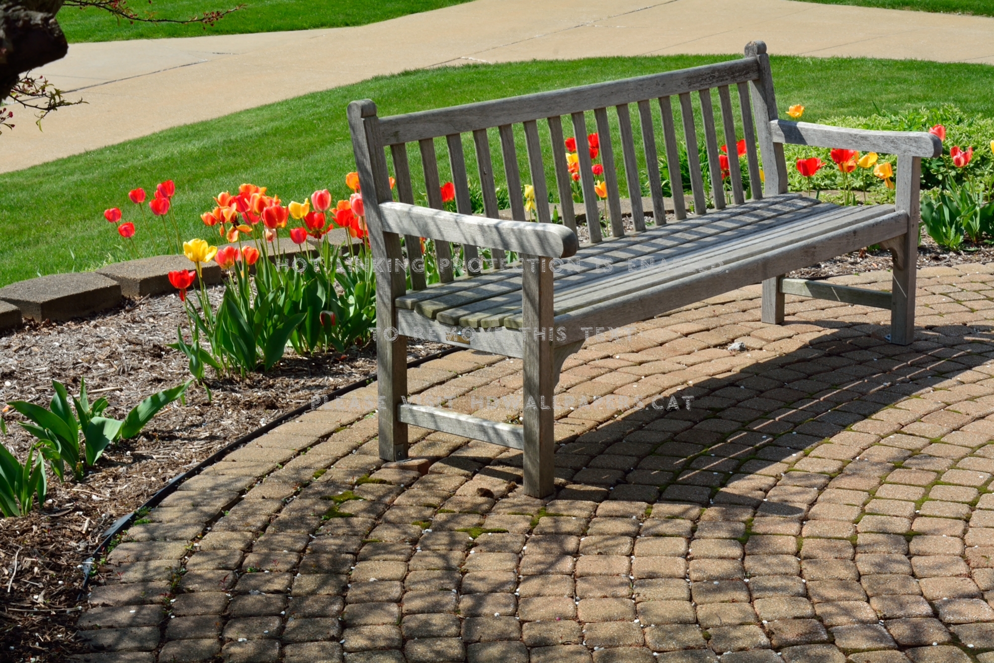 Relax Spring Wallpapers - Wallpaper Cave