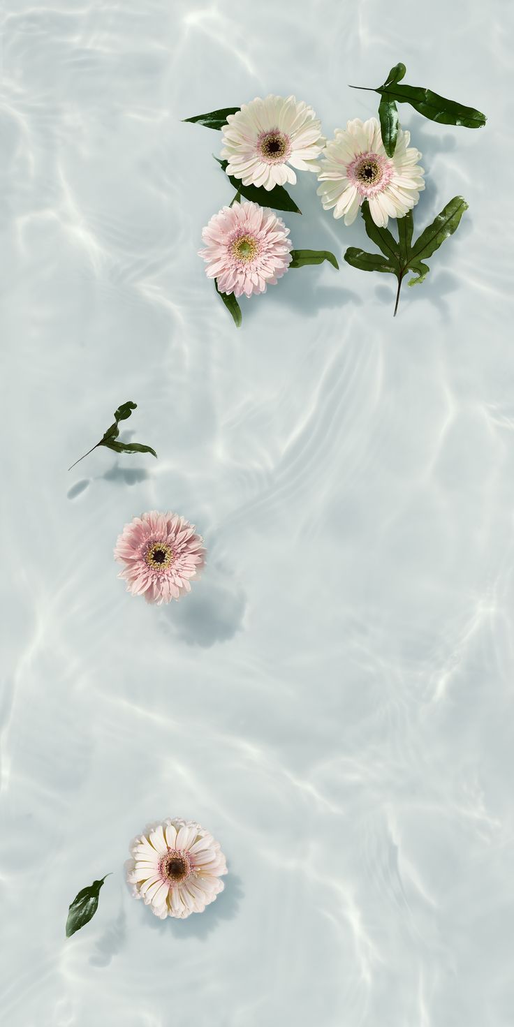 Spring Pastel Flower Wallpapers - Wallpaper Cave