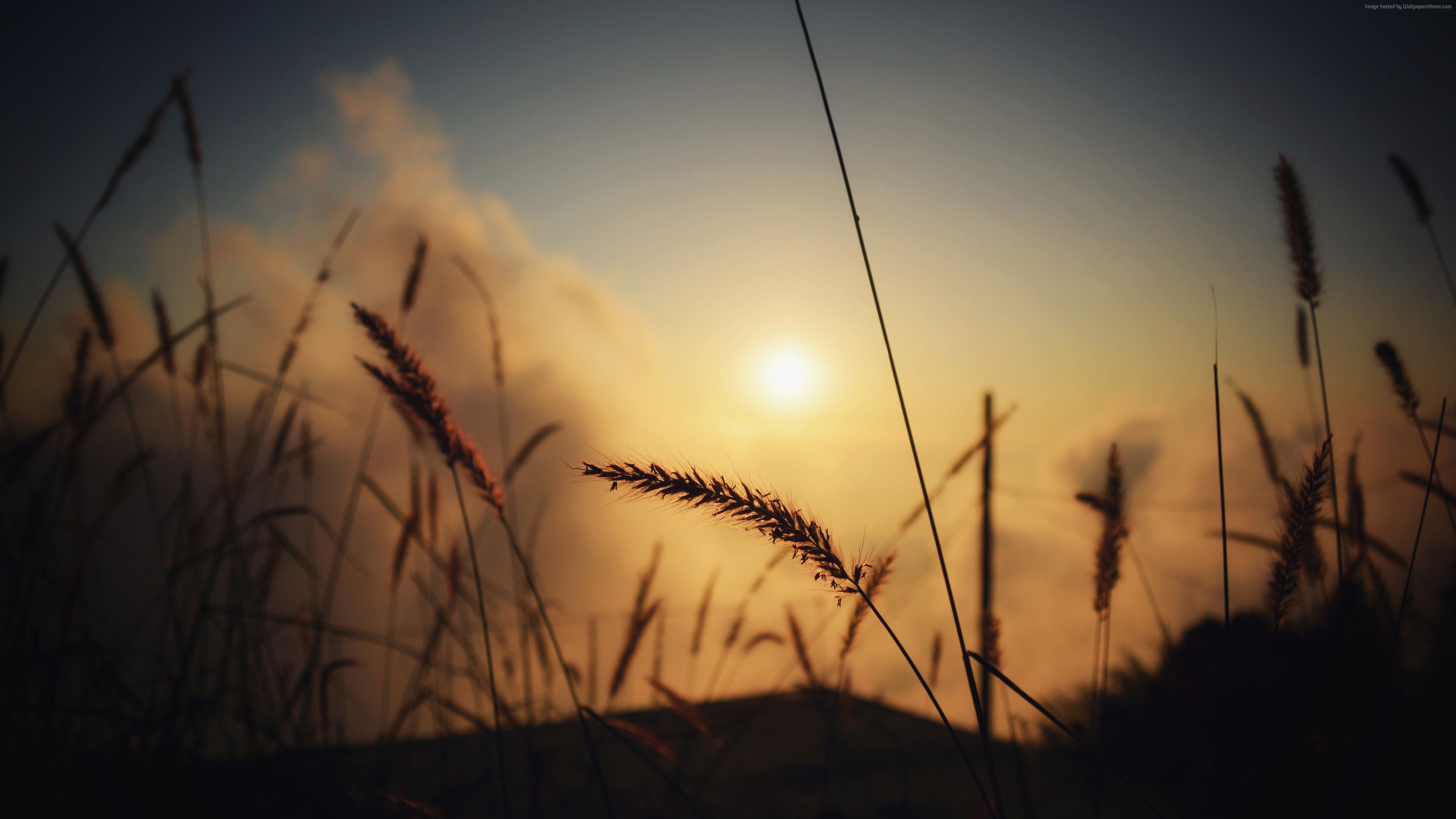 6k Summer Wallpapers - Wallpaper Cave