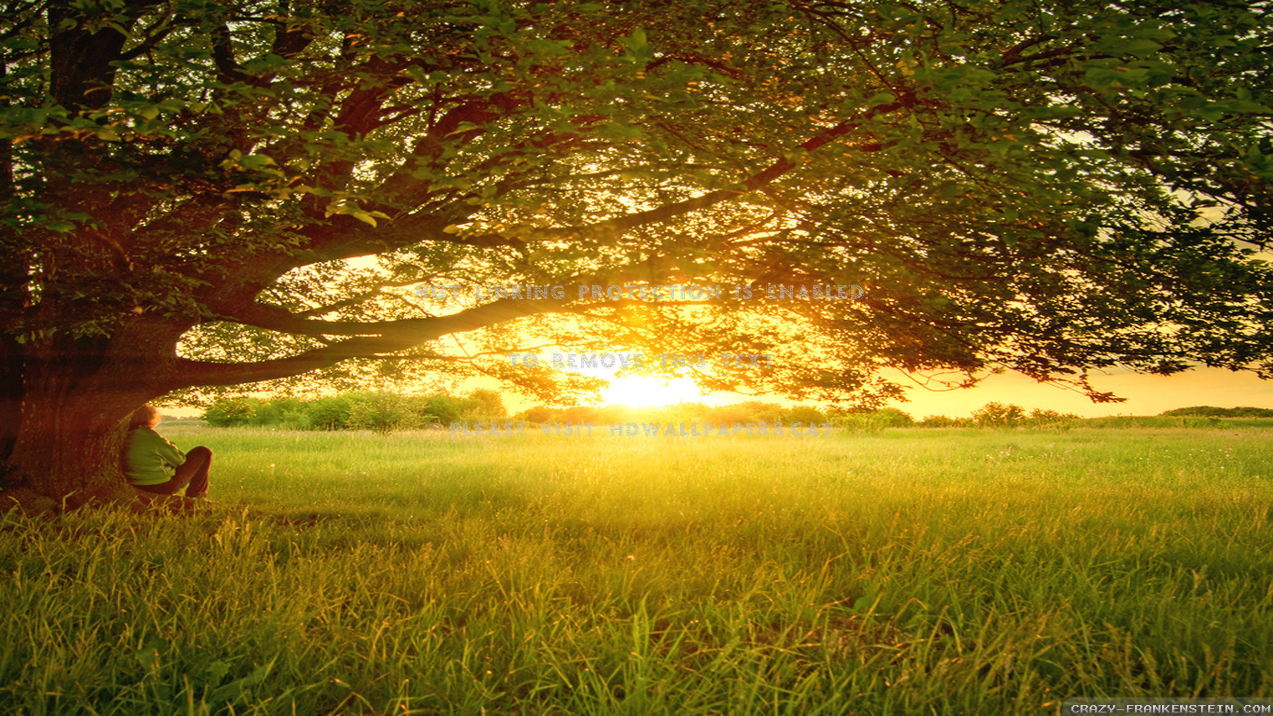 HD Summer Day Wallpapers - Wallpaper Cave