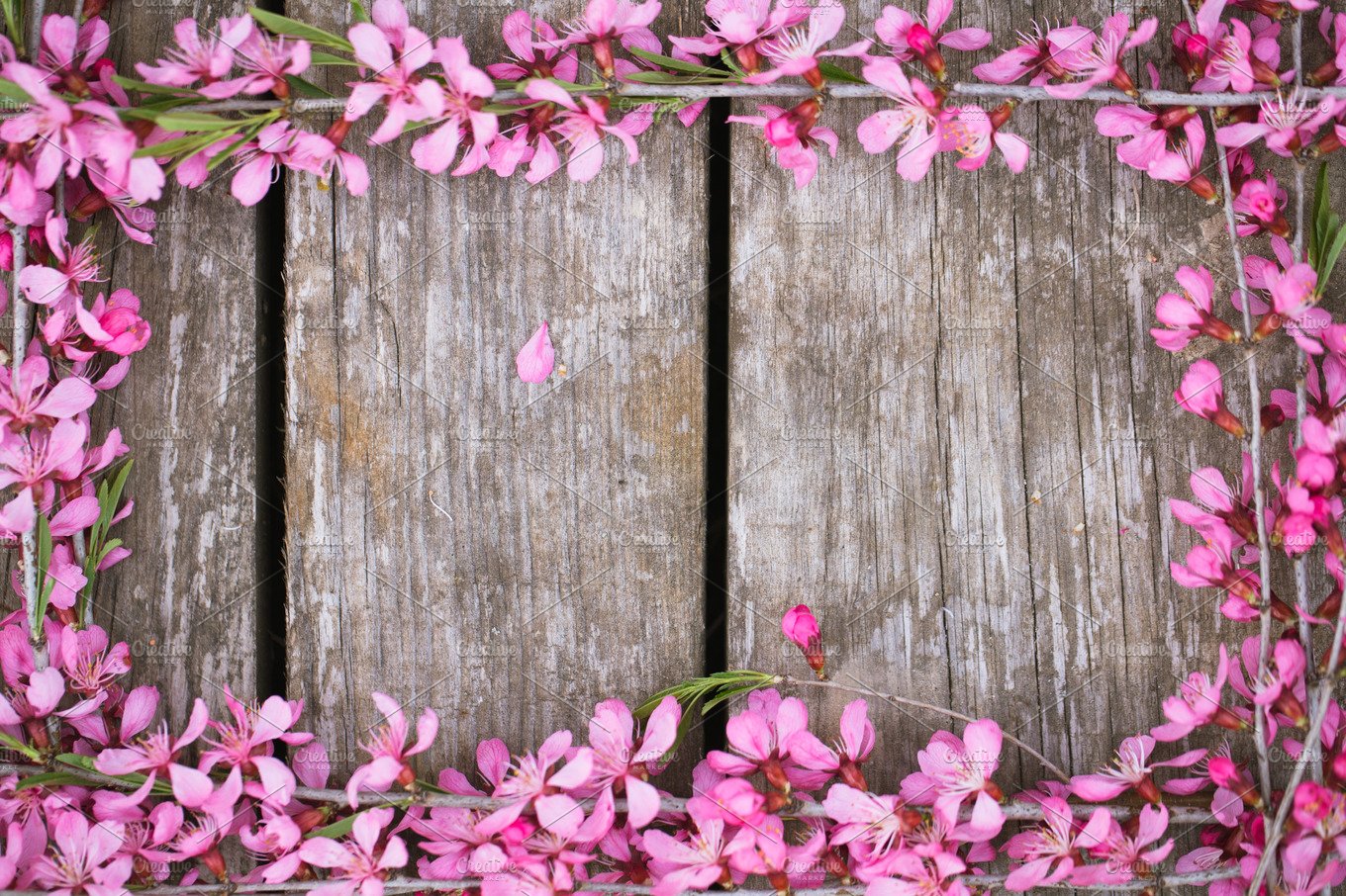 Spring Flower Wood Wallpapers - Wallpaper Cave