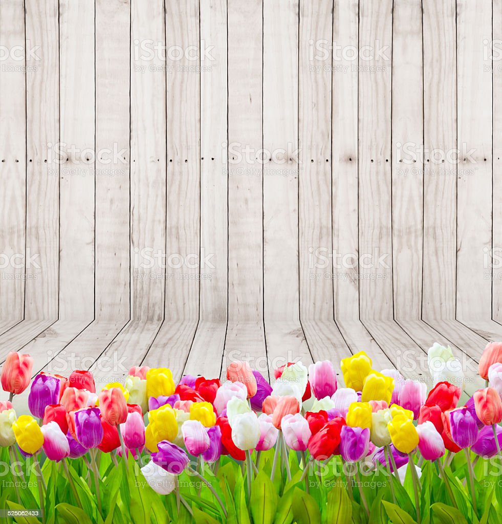 Spring Flower Wood Wallpapers - Wallpaper Cave