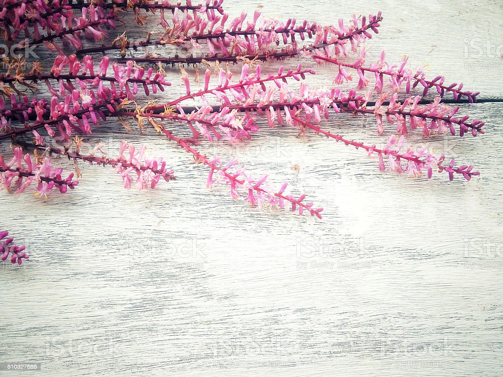 Spring Flower Wood Wallpapers - Wallpaper Cave