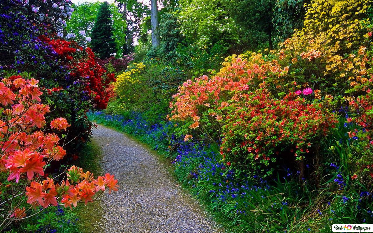 Summer Path Wallpapers - Wallpaper Cave