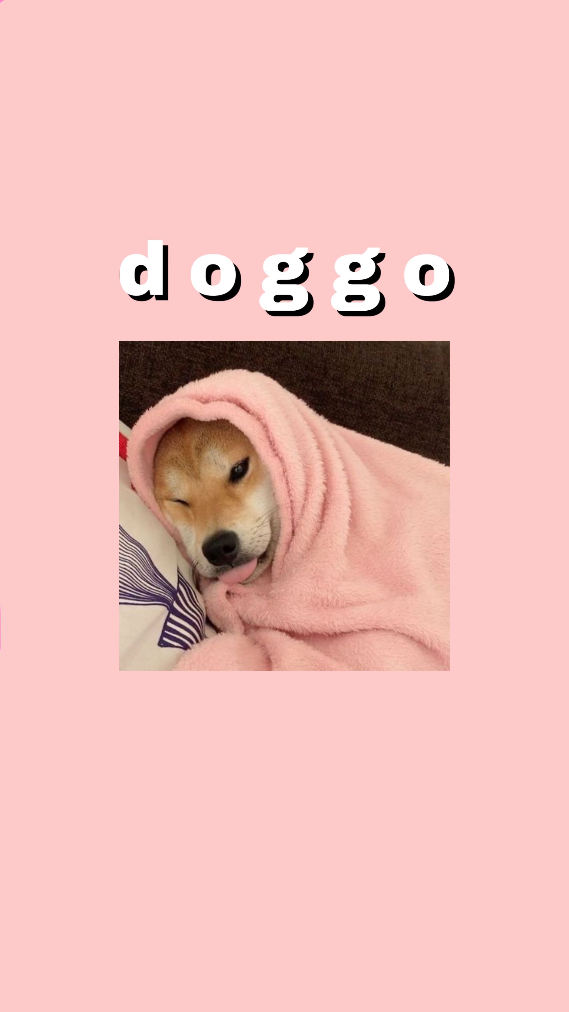Uwu Dogs Wallpapers - Wallpaper Cave