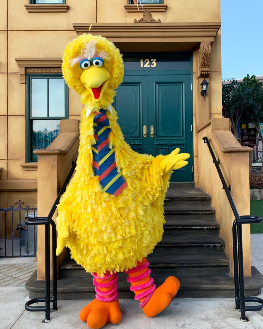 Big Bird Images Sesame Street Big Bird Images Sesame Street