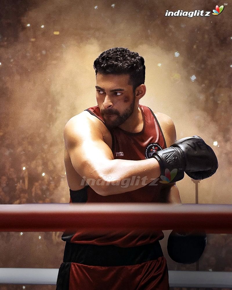 Ghani Wallpapers - Wallpaper Cave