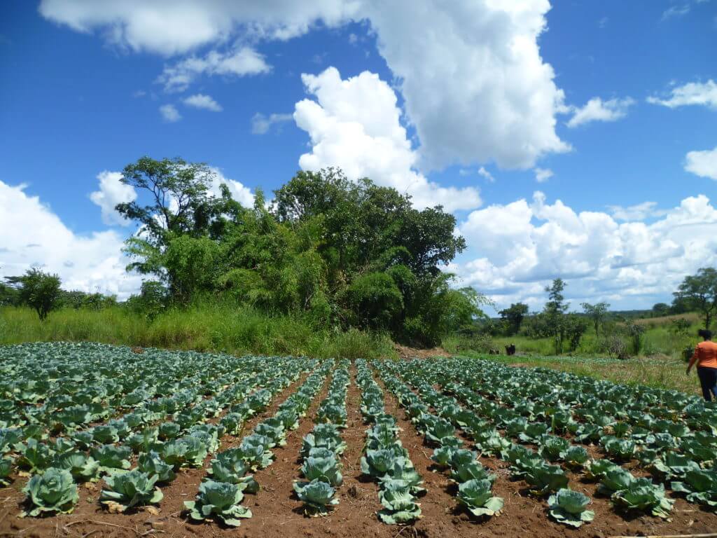 Small Scale Farming Wallpapers - Wallpaper Cave