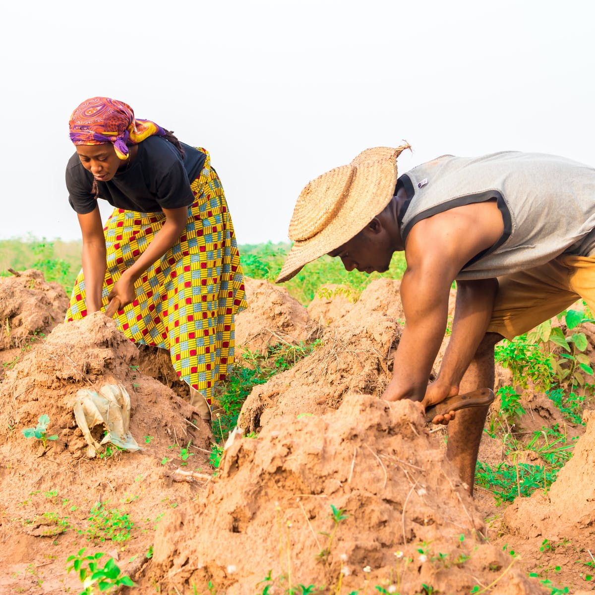 Small Scale Farming Wallpapers - Wallpaper Cave