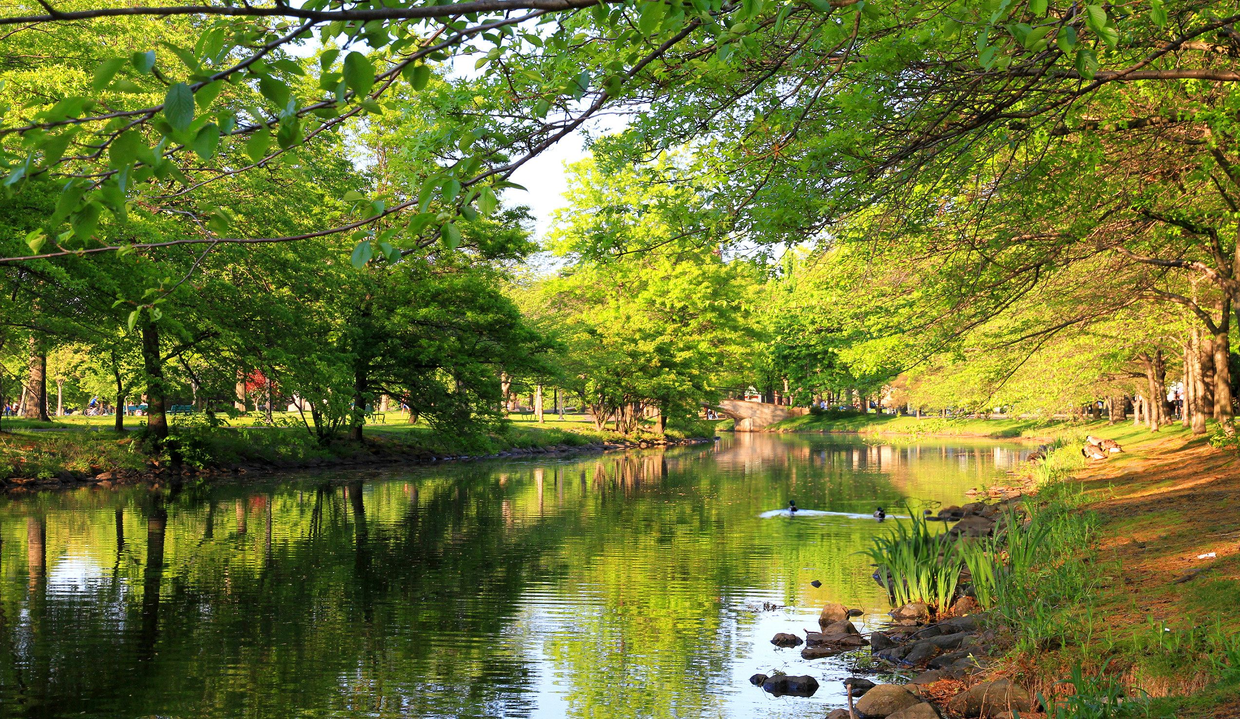 HD Summer River Wallpapers - Wallpaper Cave