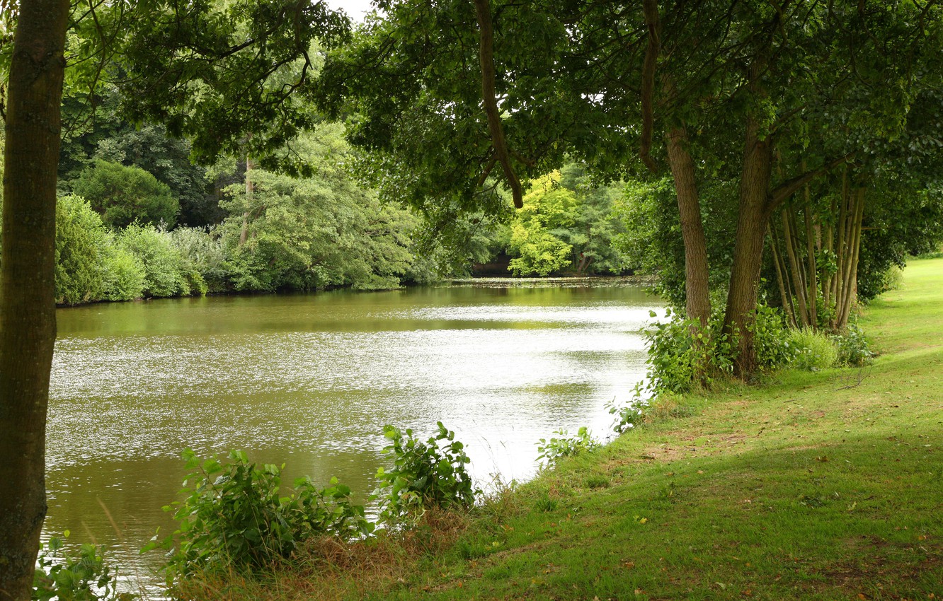 HD Summer River Wallpapers - Wallpaper Cave