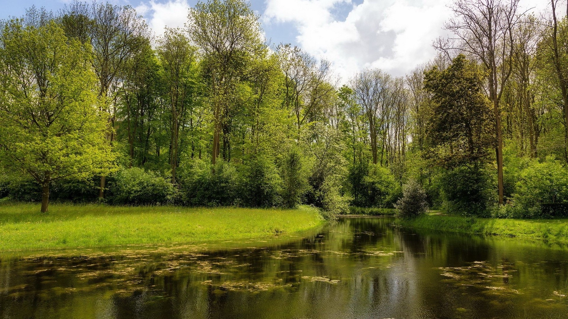 HD Summer River Wallpapers - Wallpaper Cave