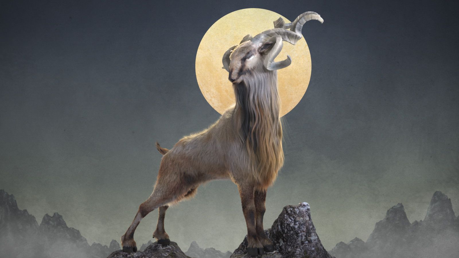 Markhor Logo Wallpapers - Wallpaper Cave